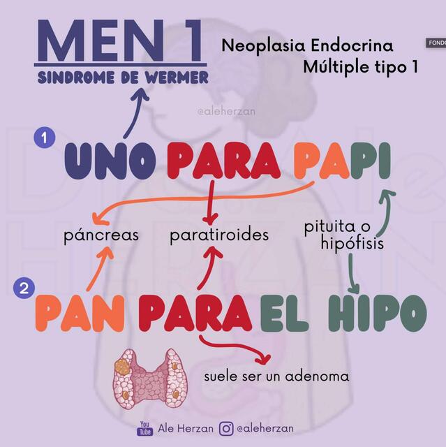 NEOPLASIA ENDOCRINA MÚLTIPLE TIPO 1 (MEN 1) | Dra Ale Herzan | uDocz