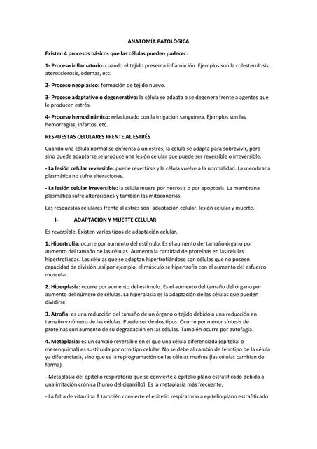 Cap 2 Robbins | Fatima Auada | uDocz