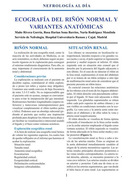 es articulo ecografia del rinon normal y variantes | Isabella Reina | uDocz