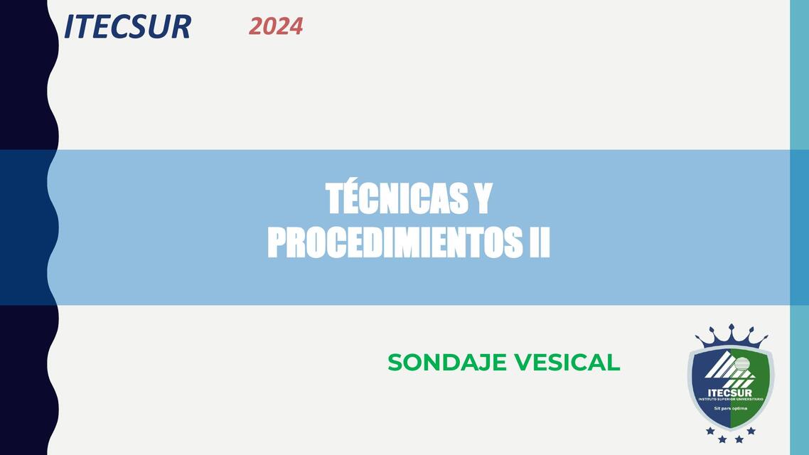 SONDA VESICAL | mayra | uDocz