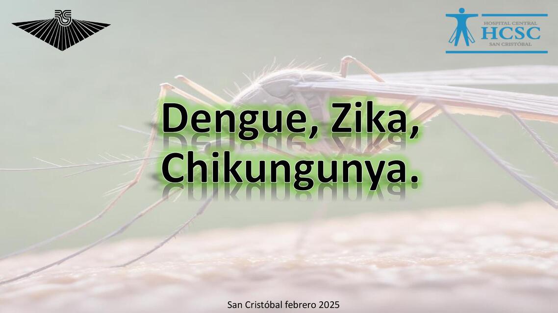Arbovirosis Dengue Zika chikunguya | Guilmary | uDocz