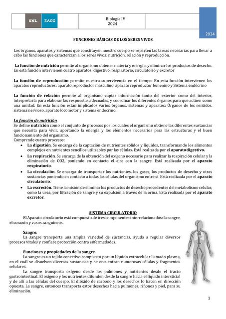 cuadernillo Biología | Sol | uDocz