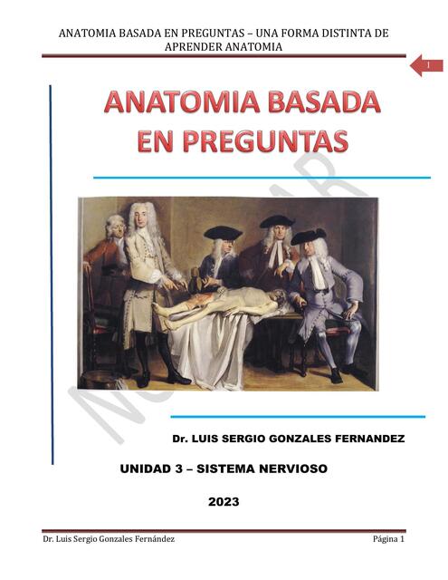 Flashcards de cuestionarios de anatomia humana NEURO | Por Antonella | uDocz