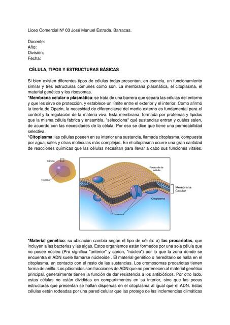Célula, tipos y estructuras básicas | Susana | uDocz