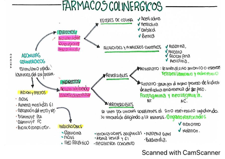 FICHAS FARMACO | Georgi Rojas | uDocz