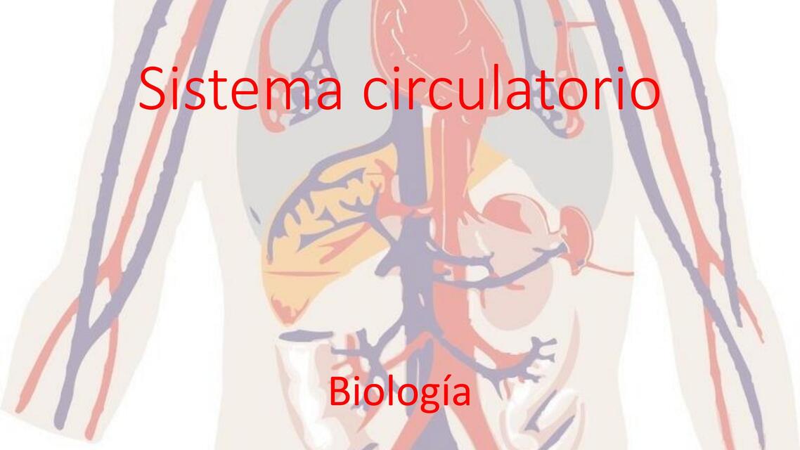 Sistema circulatorio | daniela aguirre | uDocz