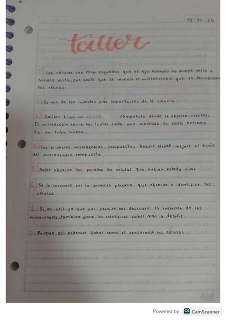 2 Diagnóstico | Mariam Sofia | uDocz