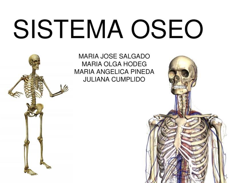 sistemaoseo lva1 app | Nallely del Rocío | uDocz