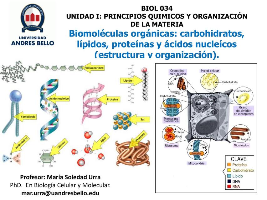 CLASE4BIOLBIOMOLECULASORGANICAS | Sofia | uDocz