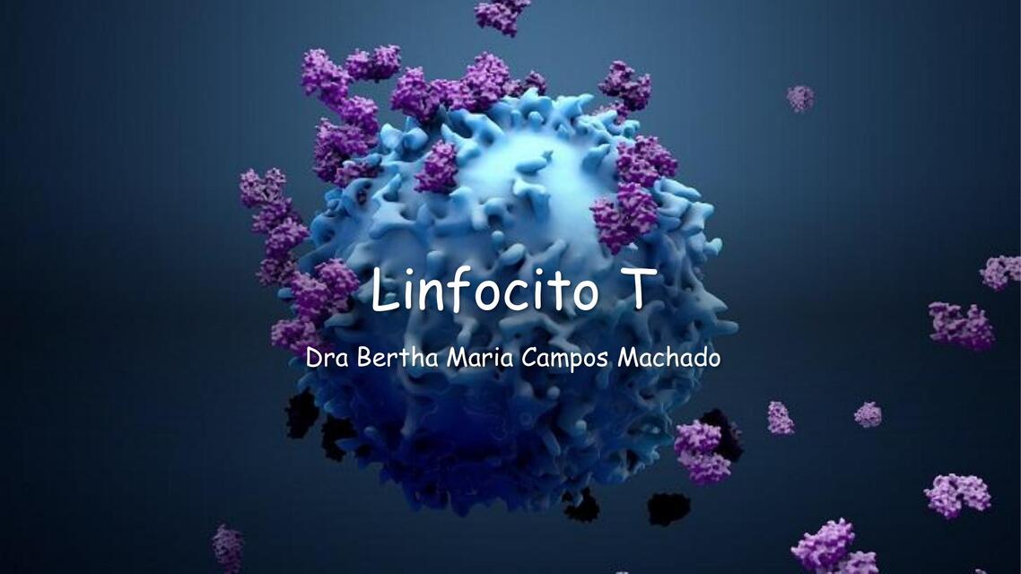 Clase 14 Linfocito T | Gisselle | uDocz