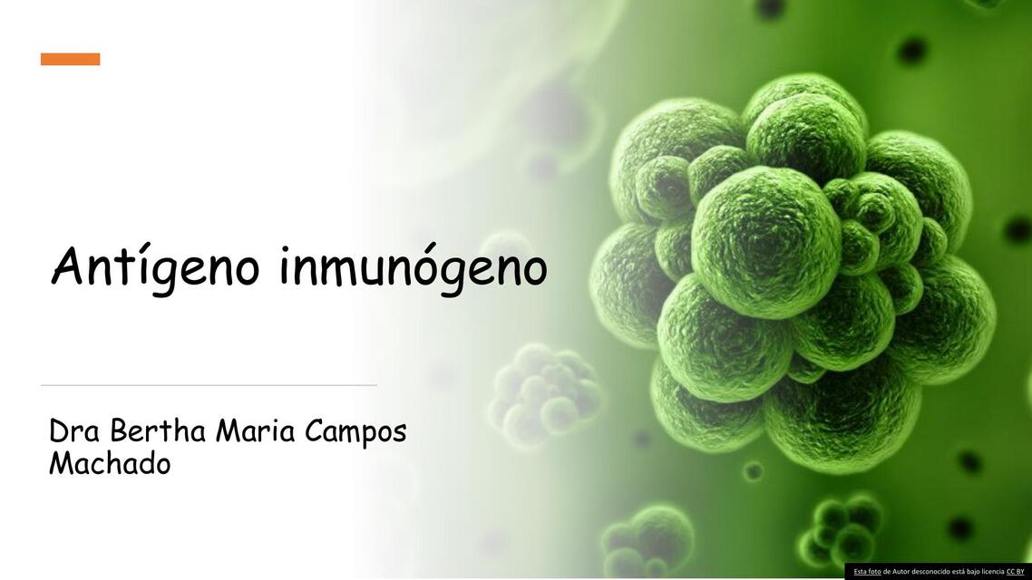 Clase 11 Antigeno inmunogeno | Gisselle | uDocz