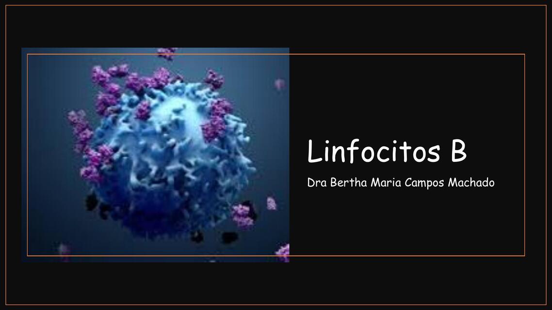 Flashcards de Clase 13 Linfocitos B | Por Gisselle | uDocz