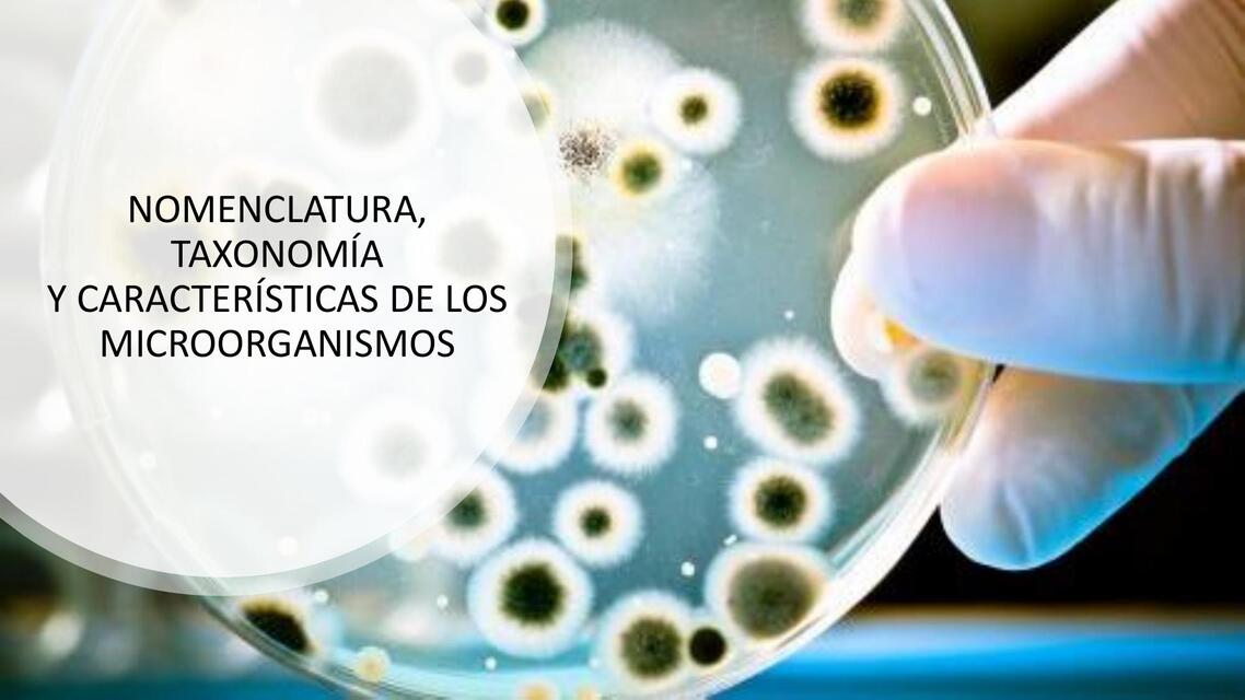 Clase N 1 Celulas y Taxonomia | Gisselle | uDocz