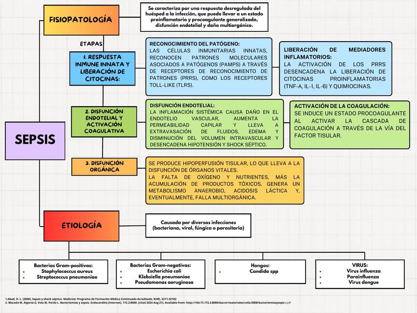 Esquema SEPSIS | Araceli | uDocz