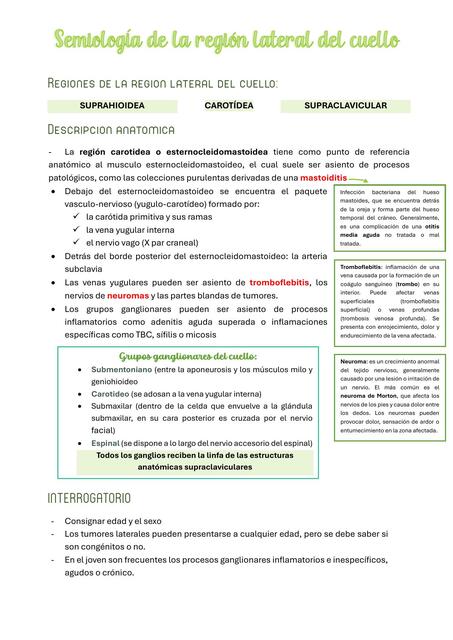 REGION LATERAL DEL CUELLO | Veronica | uDocz