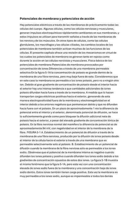 Document | SAMANTHA ESTHER | uDocz