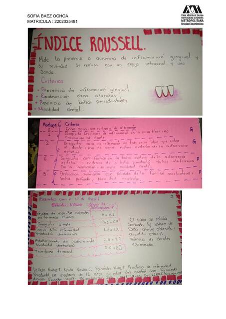 INDICES FOTOS | BAEZ OCHOA SOFIA | uDocz