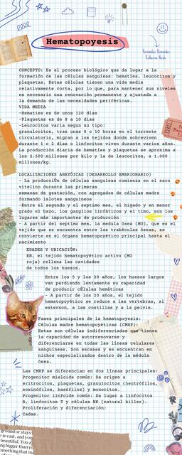 Hematopoyesis Katherine Udocz