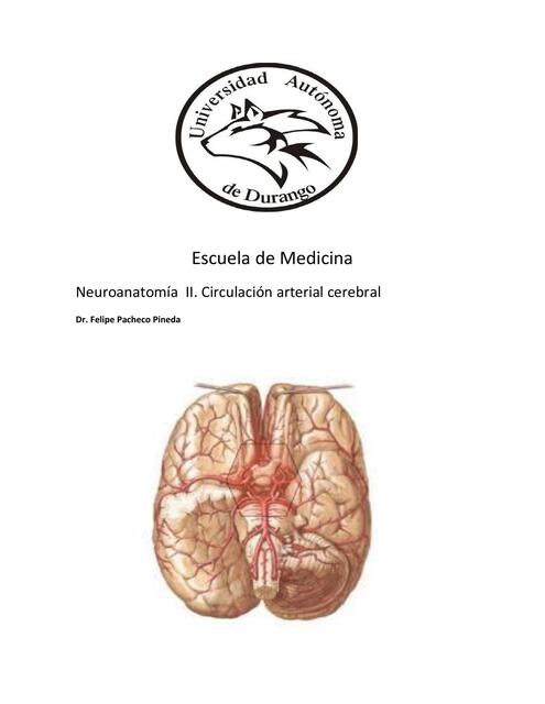 T 3 Circulación Arterial Cerebral | Emmanuel | uDocz