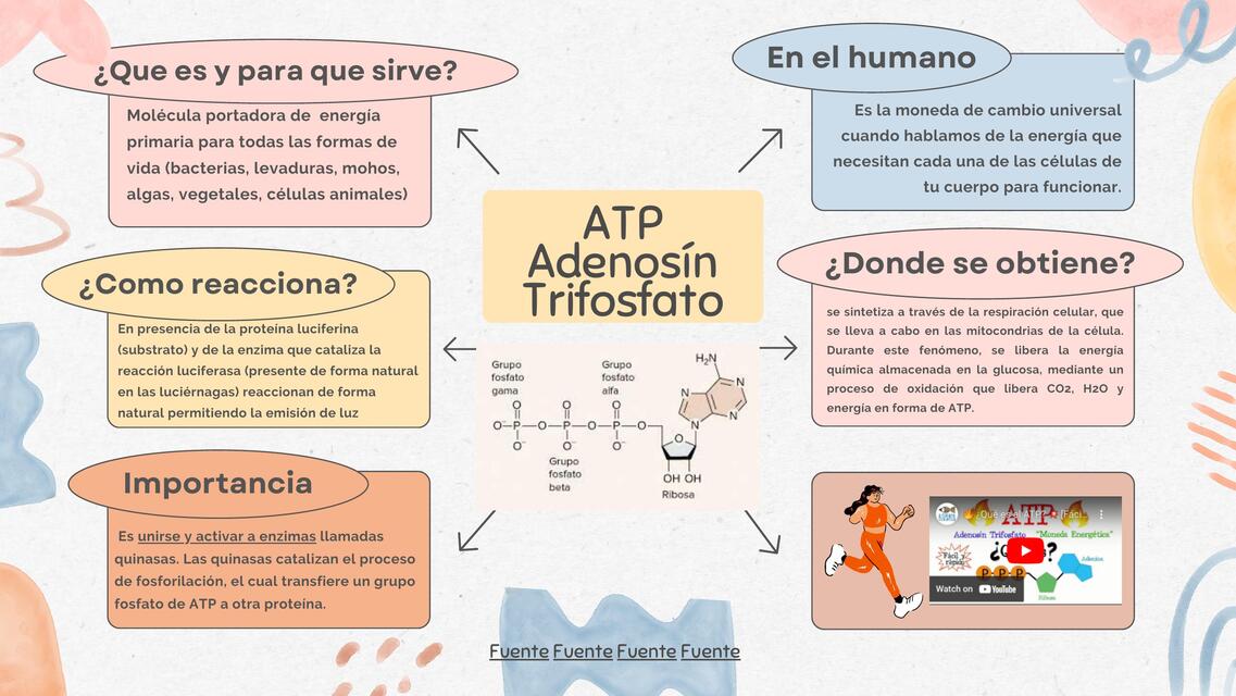 ATP | flor | uDocz