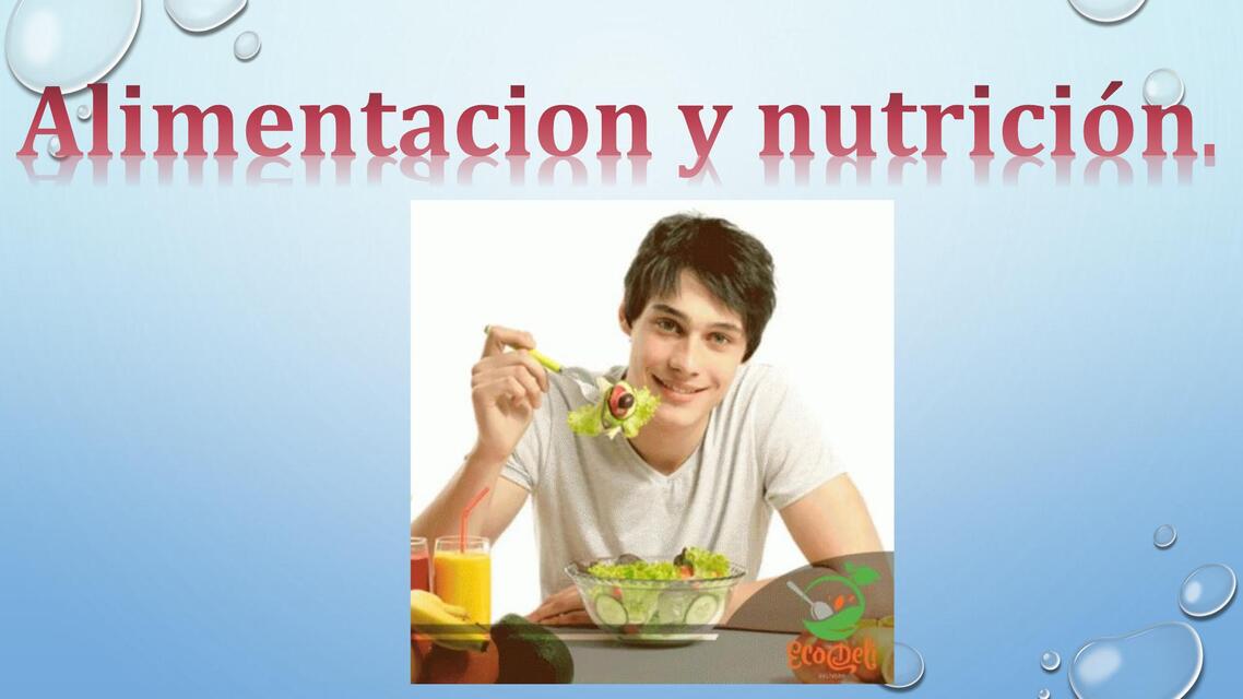 alimentacion y nutricion | GRACIELA ESTRADA | uDocz