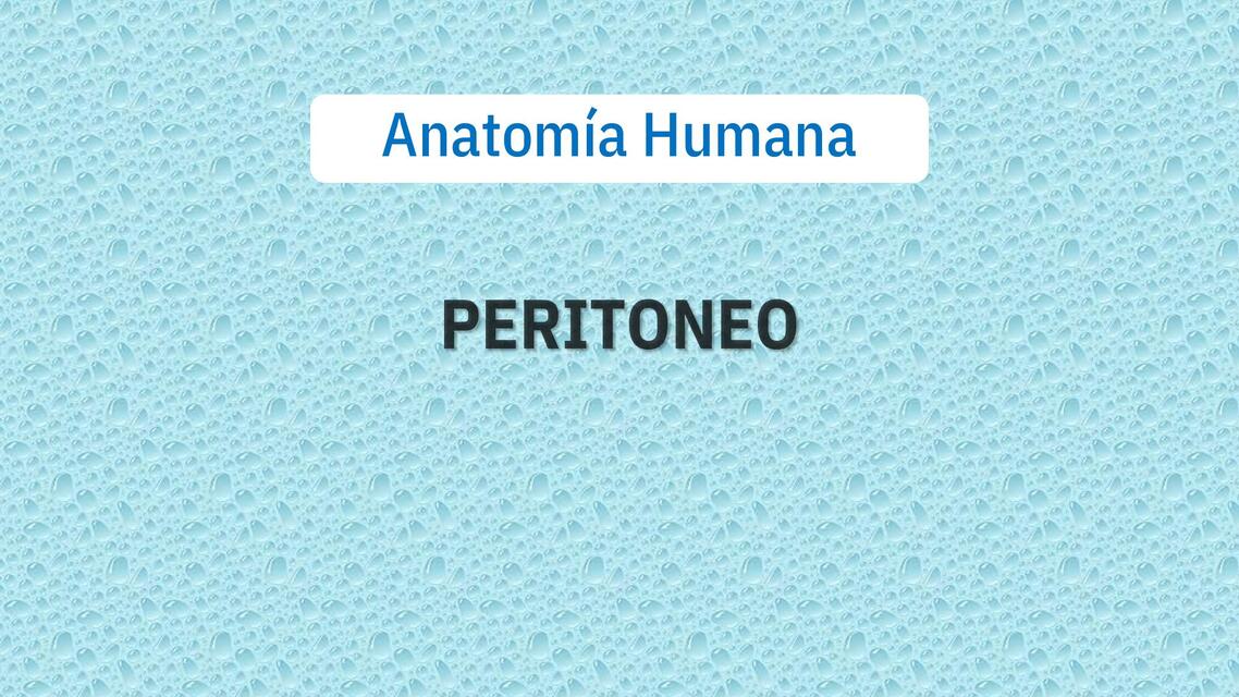 Flashcards de Anatomia Humana cap 14 PERITONEO 1 | Por Saray Cardenas | uDocz