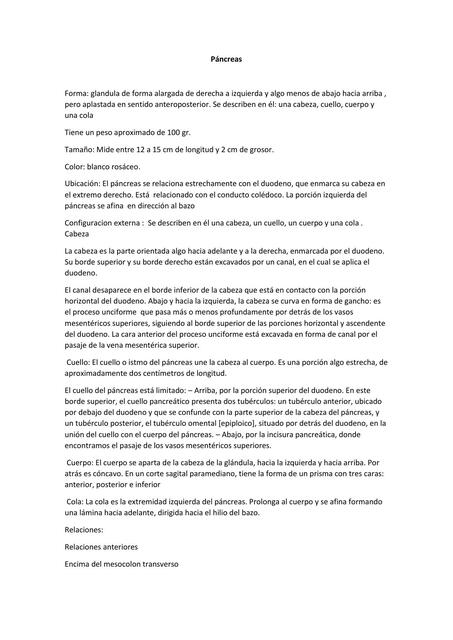 anatomia | Beatriz | uDocz