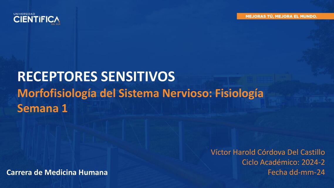 pptx Morfofisiología del Sistema Nervioso Fisiolog | Gguk yem | uDocz