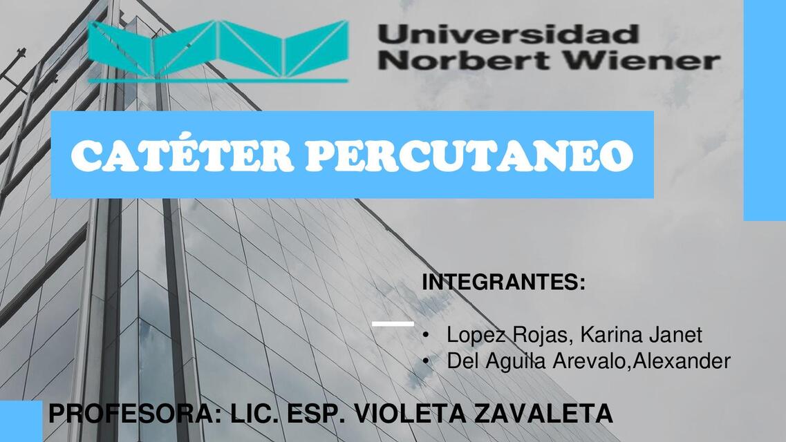 CATETER PERCUTANEO | Honey | uDocz