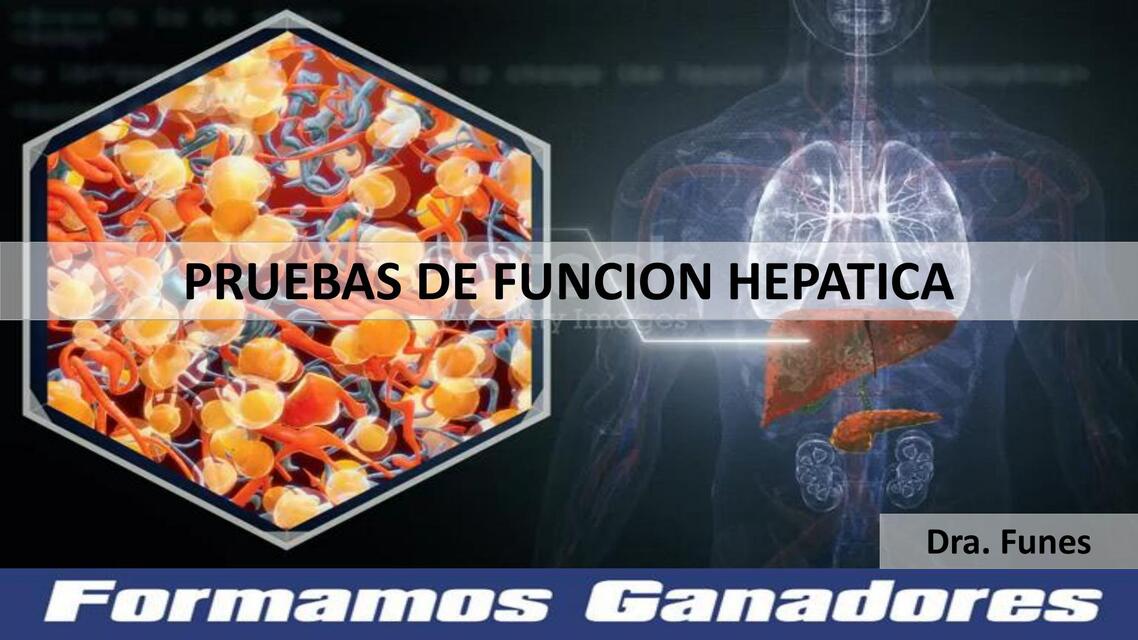 Pruebas de función. | uDocz