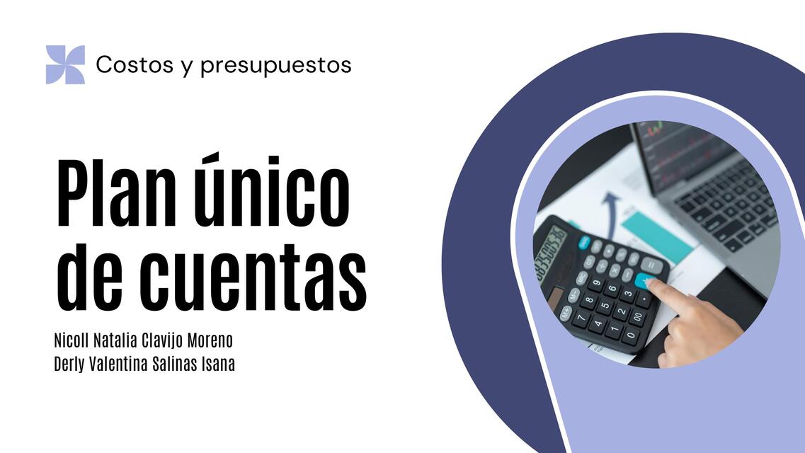 Plan único de cuentas | KAREN DAYANA TINTINAGO VILLORIA | uDocz
