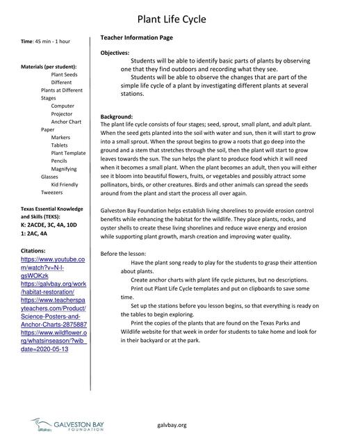 Plant Life Cycle | Monica Vega | uDocz