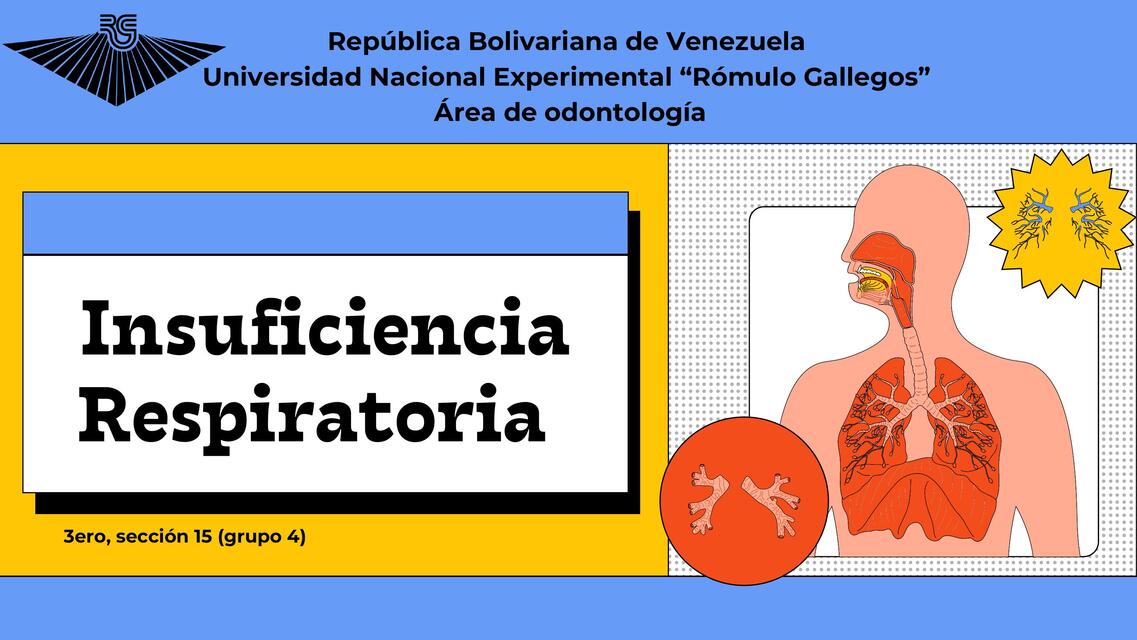 Medicina interna seminario pdf | angela yanes | uDocz