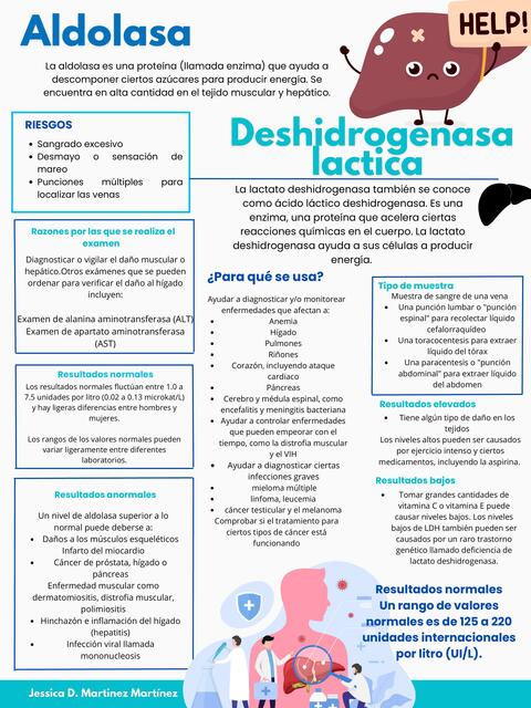 ESTUDIOS DE LABORATORIO. Aldolasa Deshidrogenasa láctica | Jessica D ...