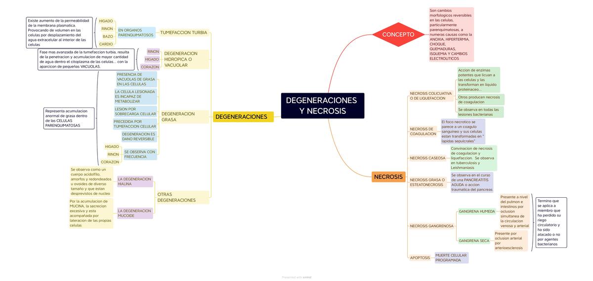 DEGENERACIONES Y NECROSIS | Eyverth | uDocz