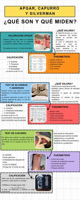 Infografía Test APGAR Silverman Y Capurro | ADRIEL HEZION | uDocz