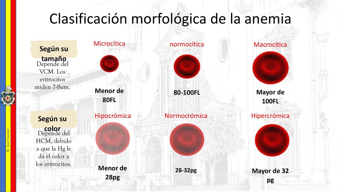 Clasificacion de la anemia | maria elvira carmona | uDocz