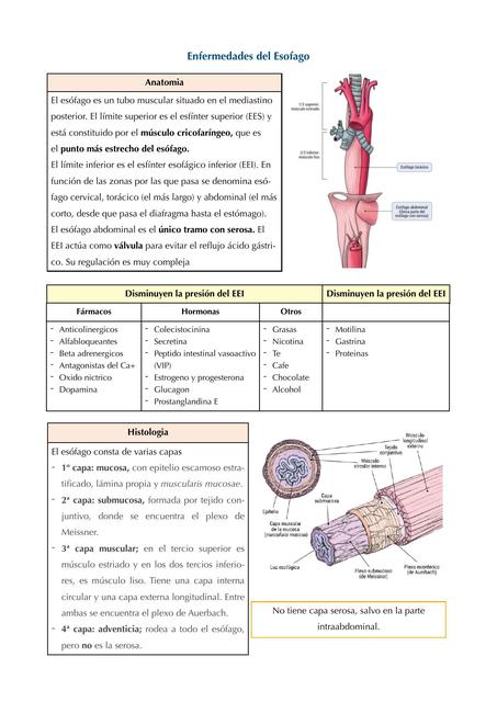 Enfermedades del Esofago | Pics.medicine 🌟 | uDocz