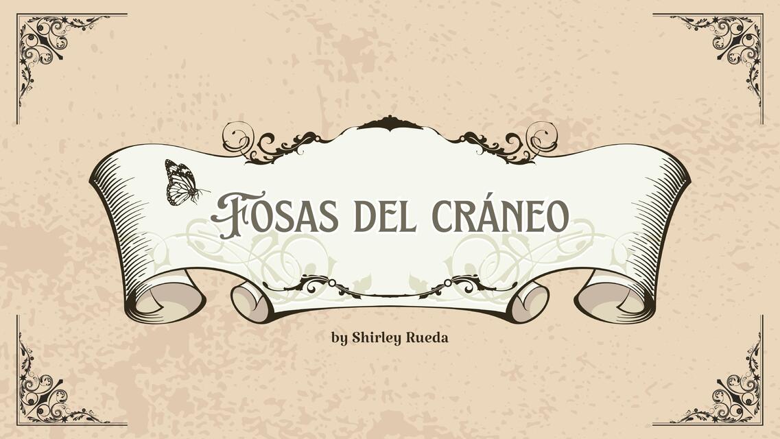 fosas del cráneo | Shirley Dayana Rueda Moncada | uDocz