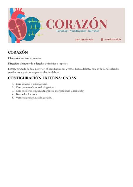 CORAZÓN | RESUMEN | Benicia Noia | uDocz