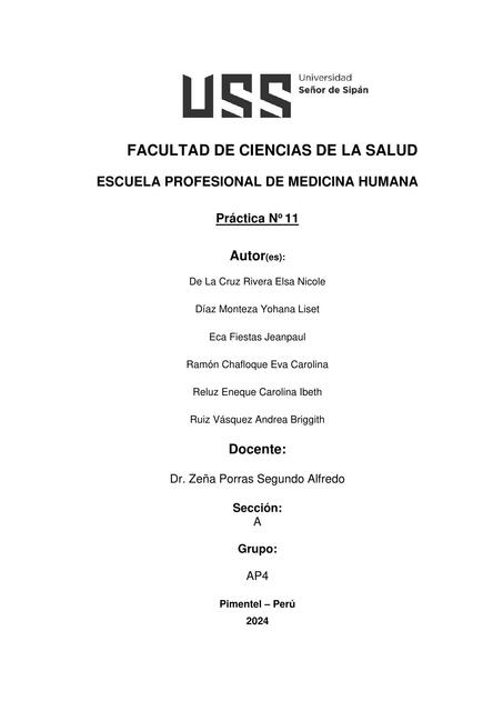 GUIA N°11 DE SALUD PUBLICA III | Carolina Chafloque | uDocz