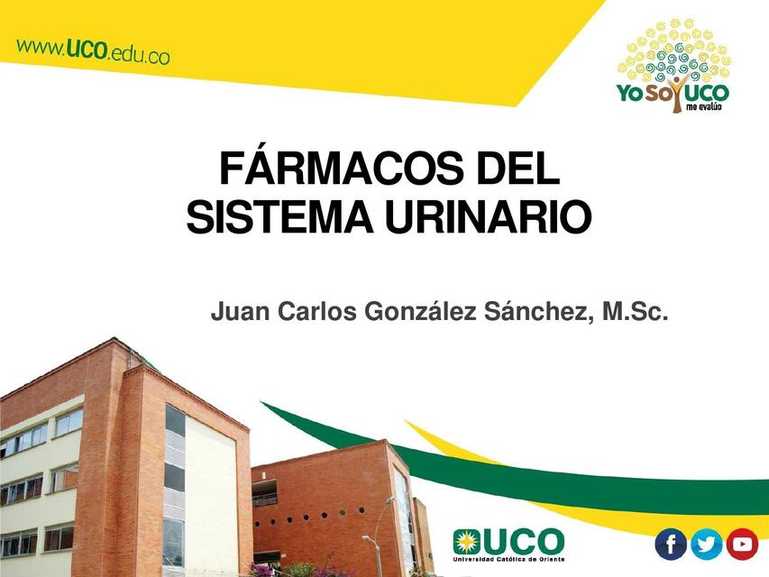 Fármacos del sistema urinario | Lu Fuentes | uDocz