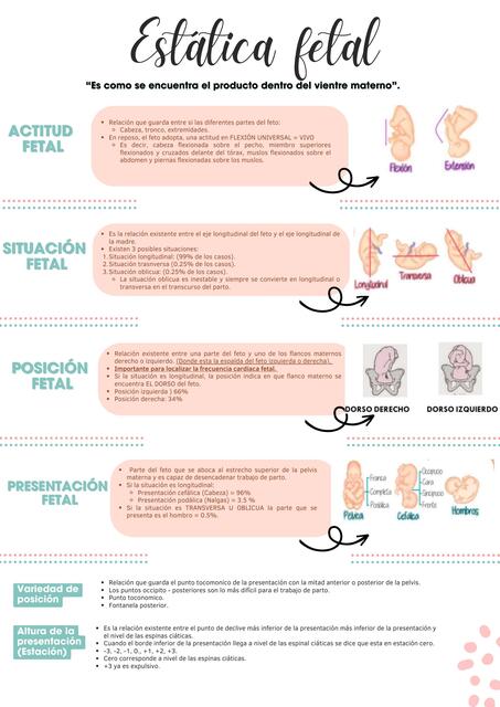 Estática fetal | Nancy A3C | uDocz