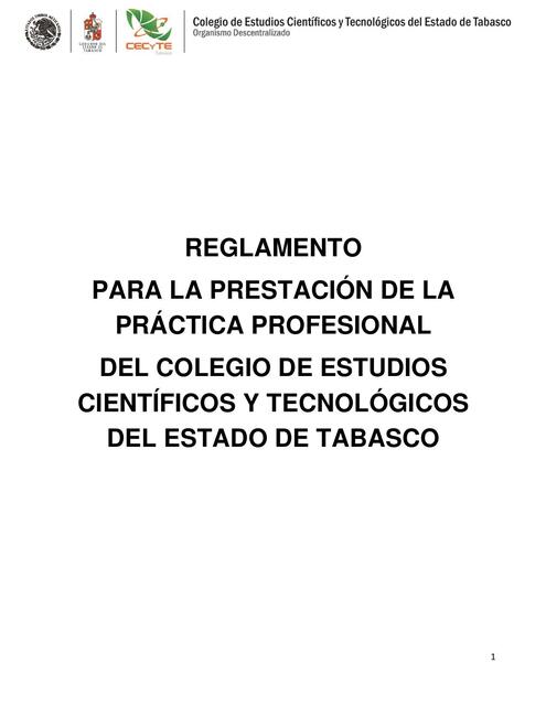 Reglamento Práctica Prof Actual 1 | Fer | uDocz