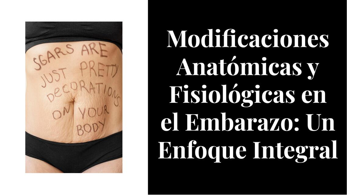 Modificaciones Anatómicas Y Fisiológicas Durante El Embarazo