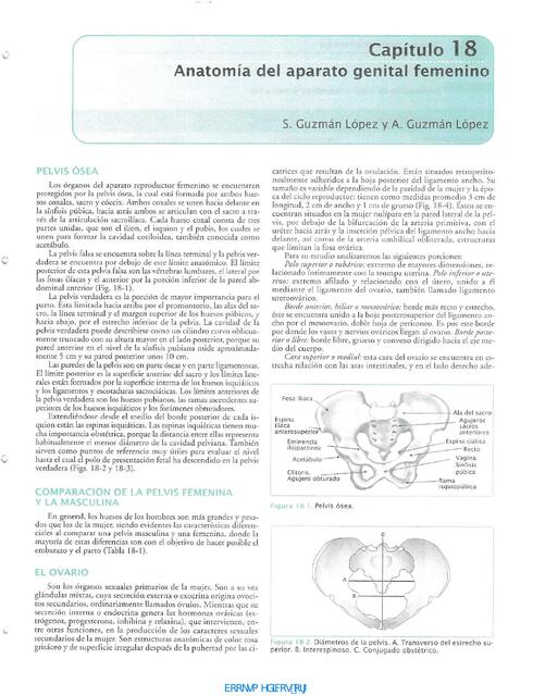 anato | maria jose bolaños | uDocz