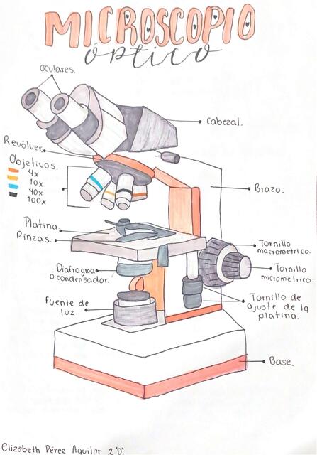 MICROSCOPIO | Elizabeth Pérez Aguilar | uDocz