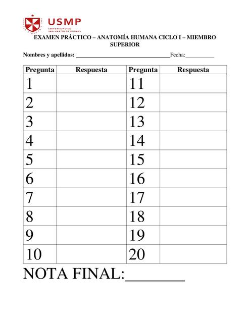 FORMATO EXAMEN PRÁCTICO 1 | PACO | uDocz