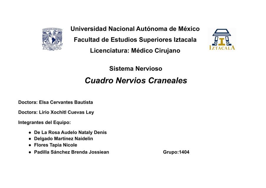 Cuadro Pares Craneales | Denis | uDocz