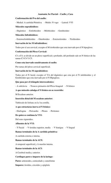 Anatomía 3er Parcial | Mica | uDocz